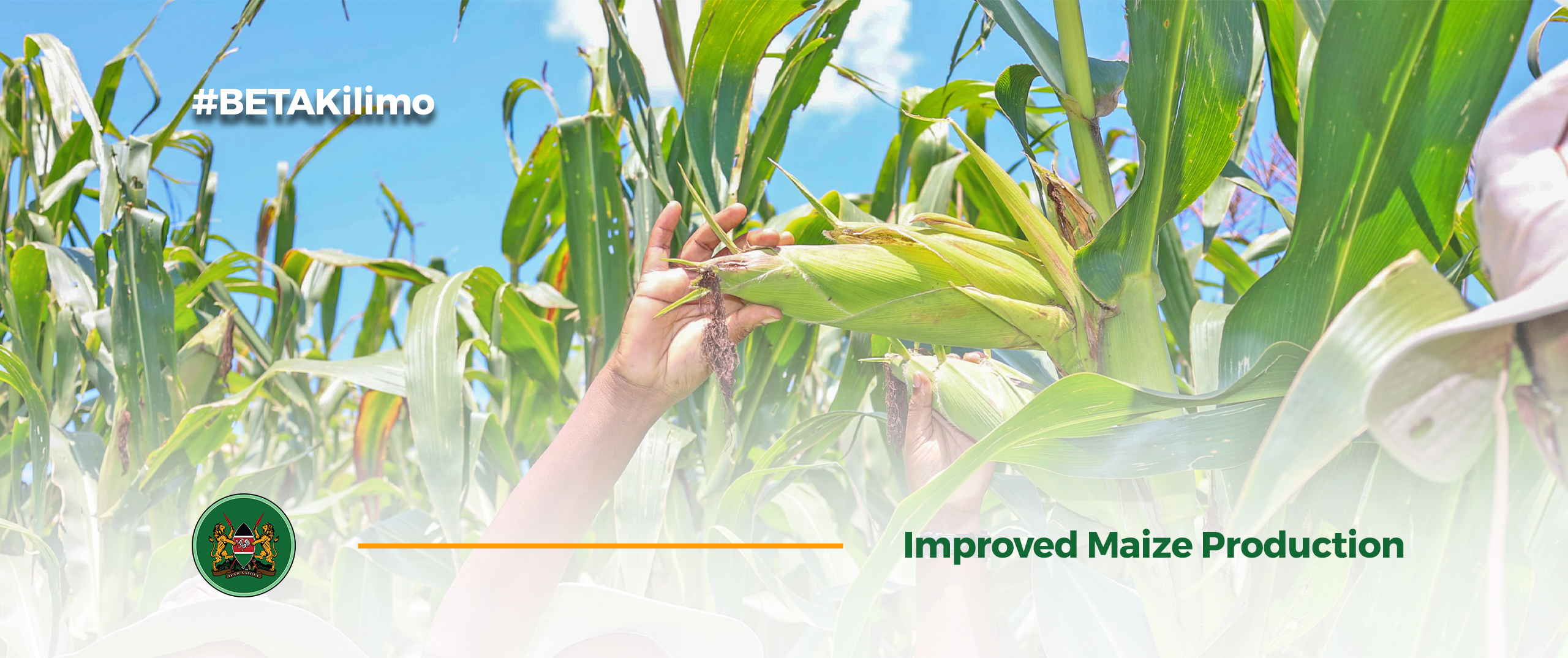 State Department for Agriculture - MoALD