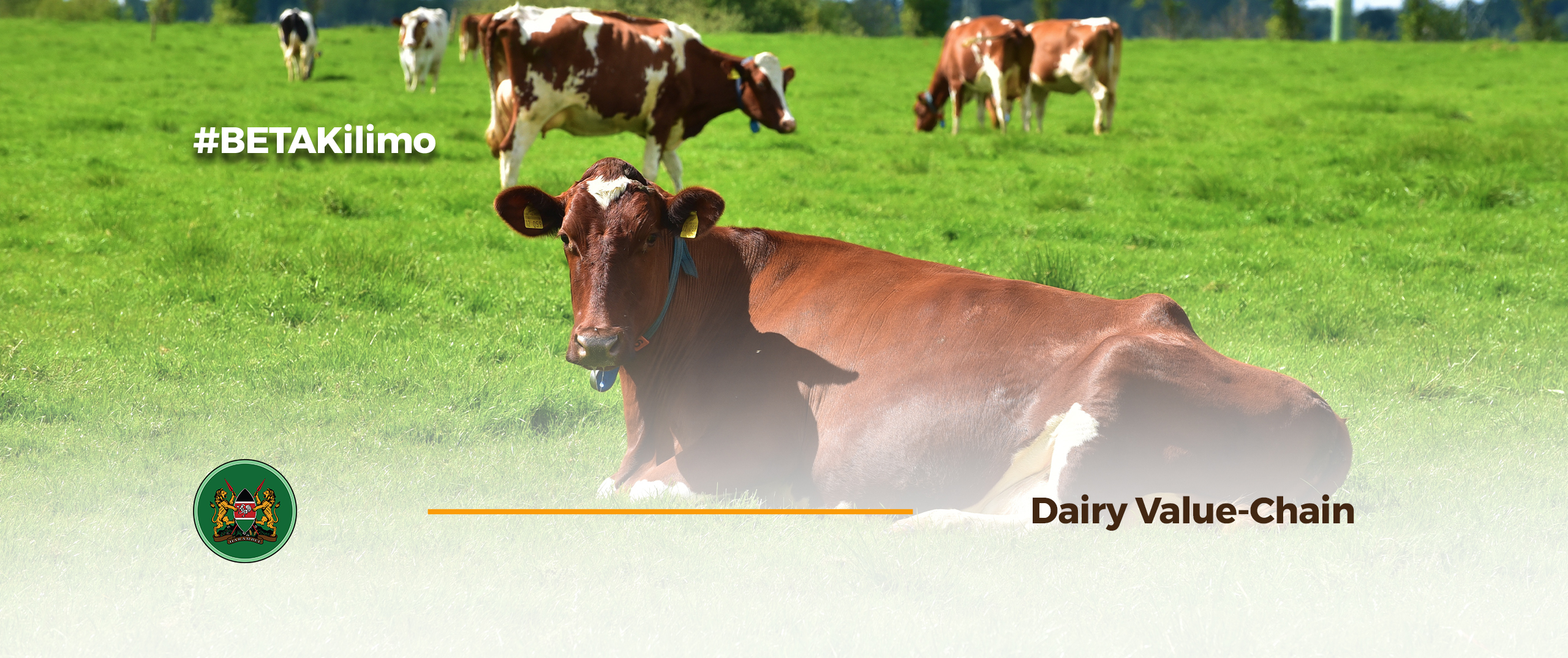 MoALD – Ministry of Agriculture and Livestock Development