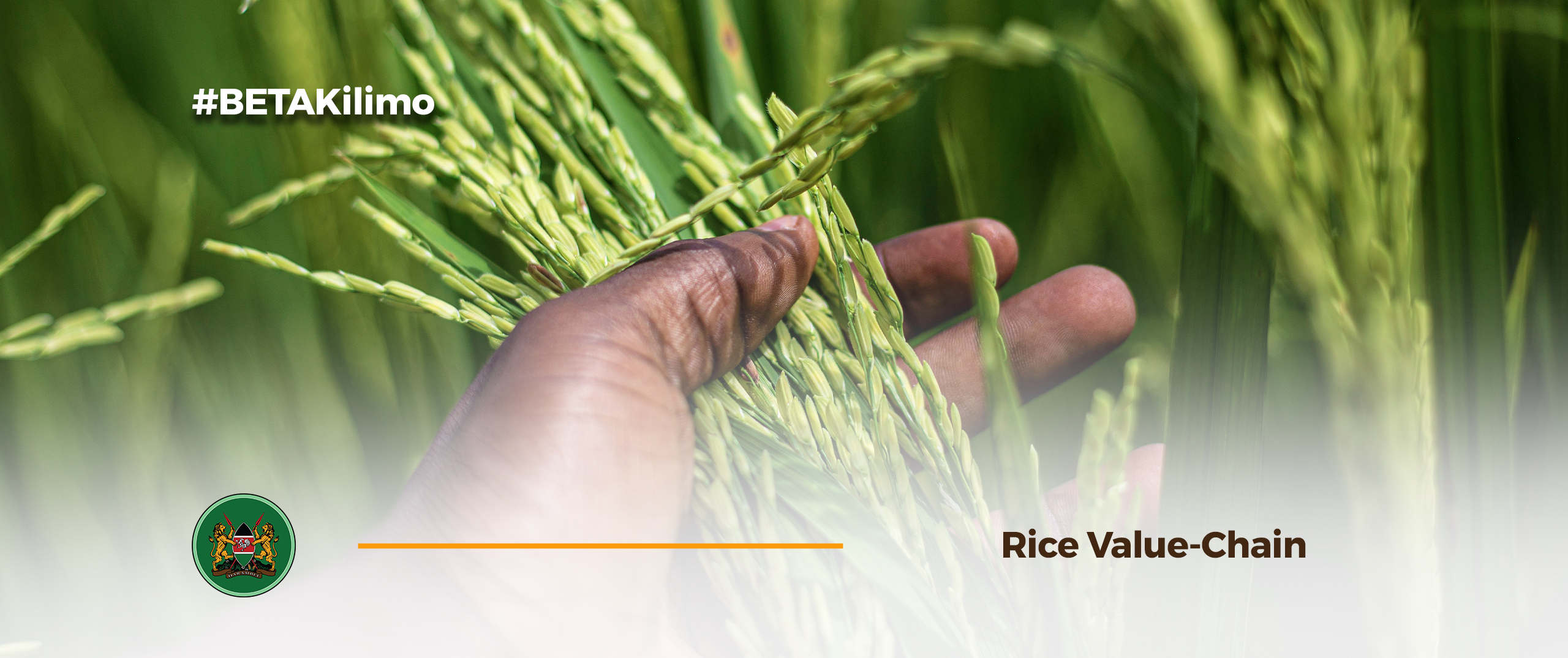 MoALD – Ministry of Agriculture and Livestock Development